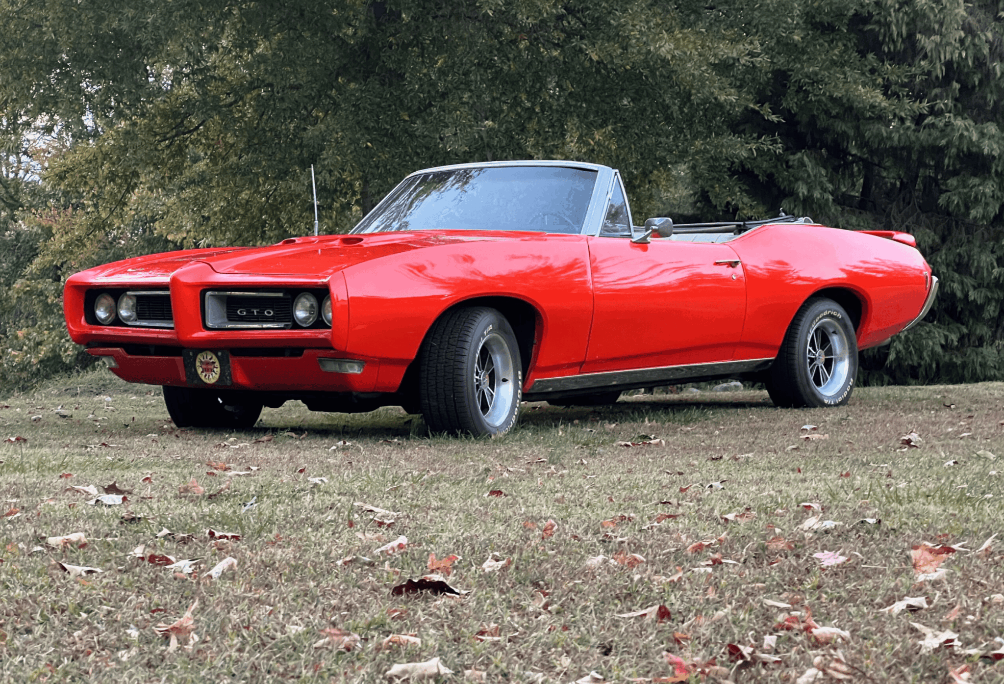 Auto Appraisers Near Me Tampa - CFL Auto Appraise
